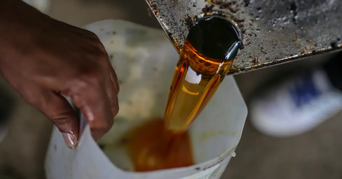 US Lawmakers Renew Push to Halt Flow of Fake Used Cooked Oil