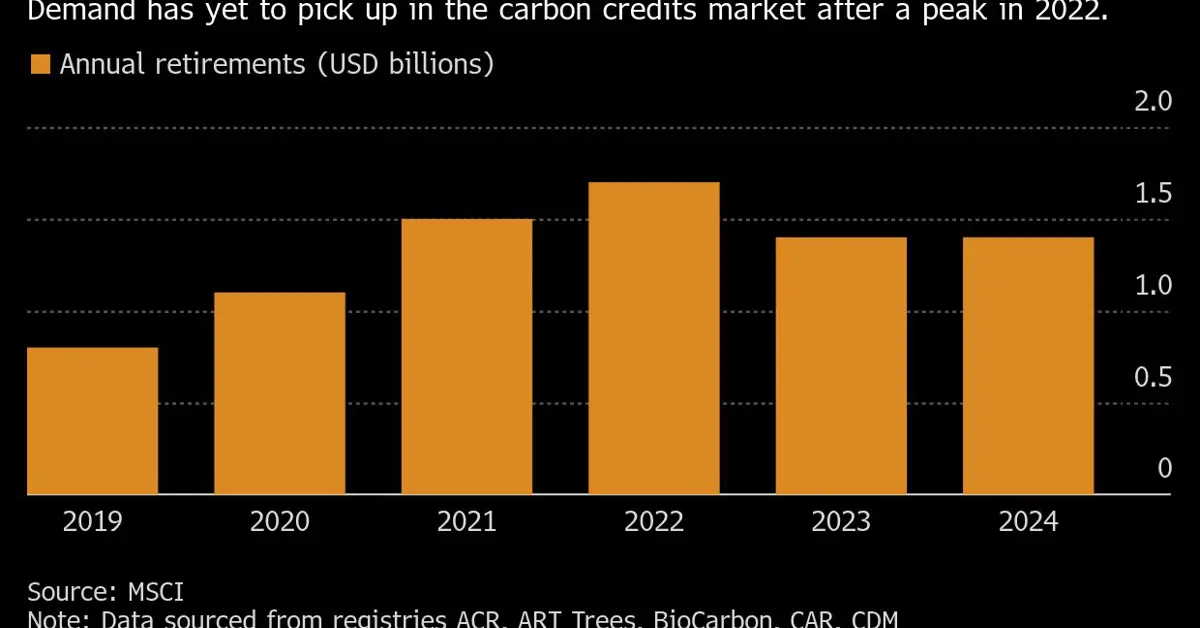 Climate Claims Group Issues New Guidance for Carbon Credits