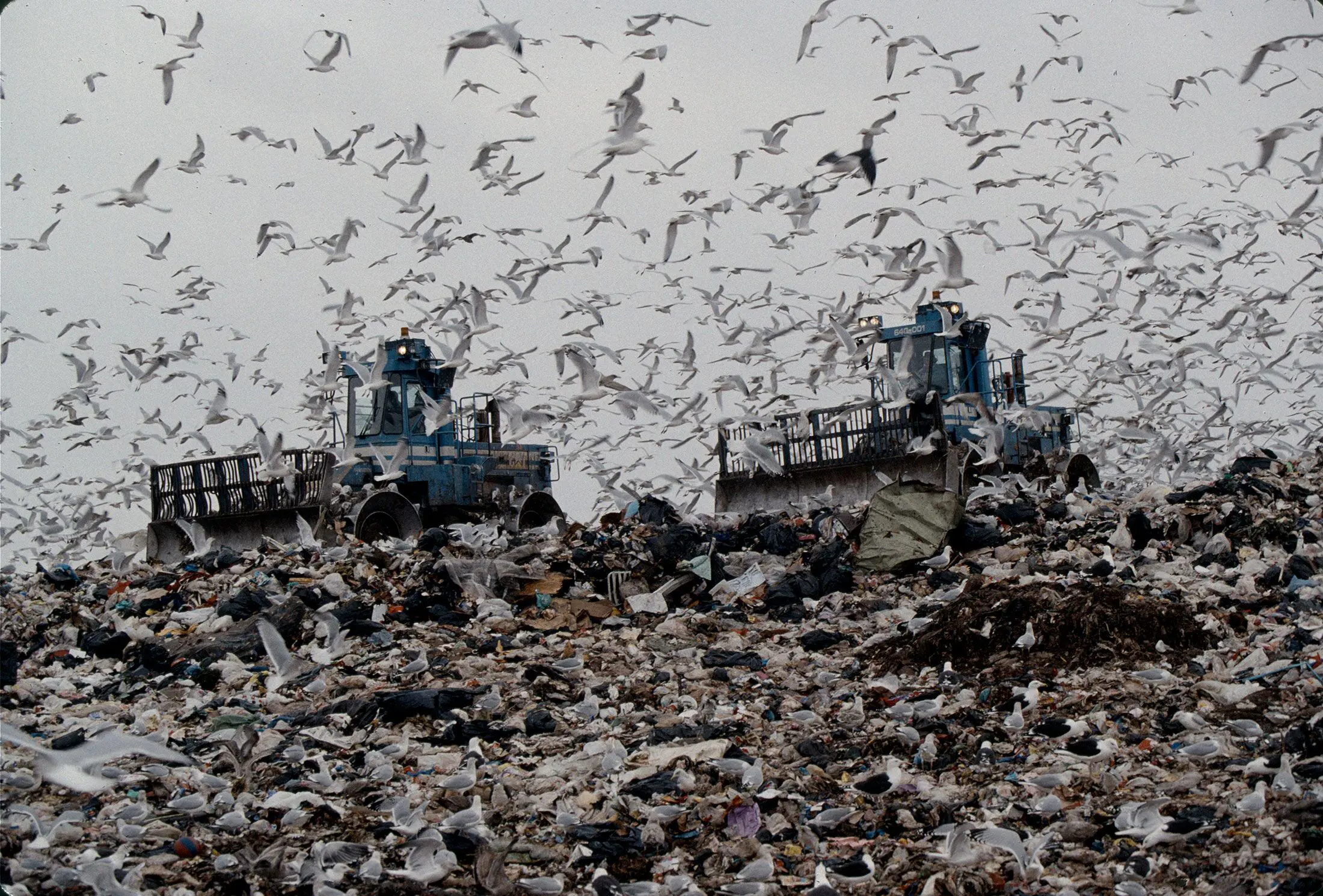How New York City Turned the World’s Biggest Garbage Dump