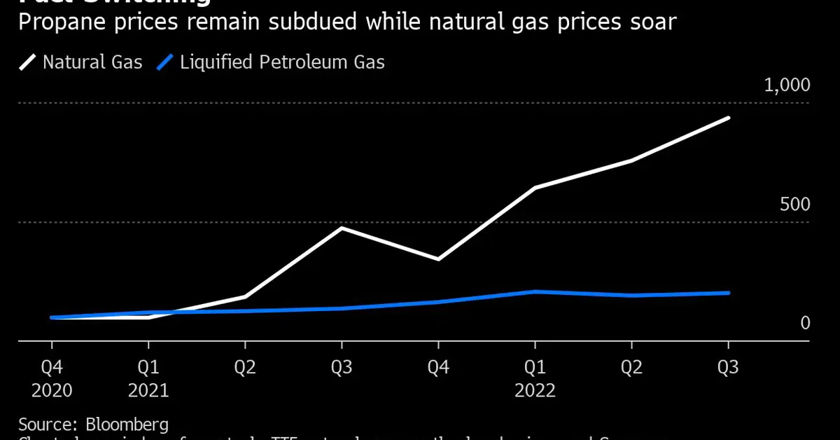 Backyard Propane Tank Is One German Plant’s Answer to Gas Threat