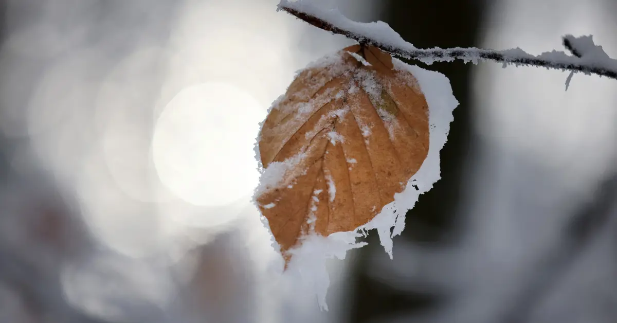 Cold Blasts Set to Test Energy Resilience in Europe and Asia