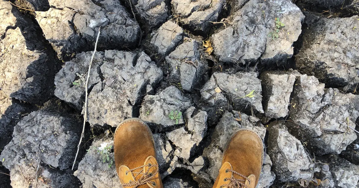 El Niño Scorches Southern Africa With Driest February on Record