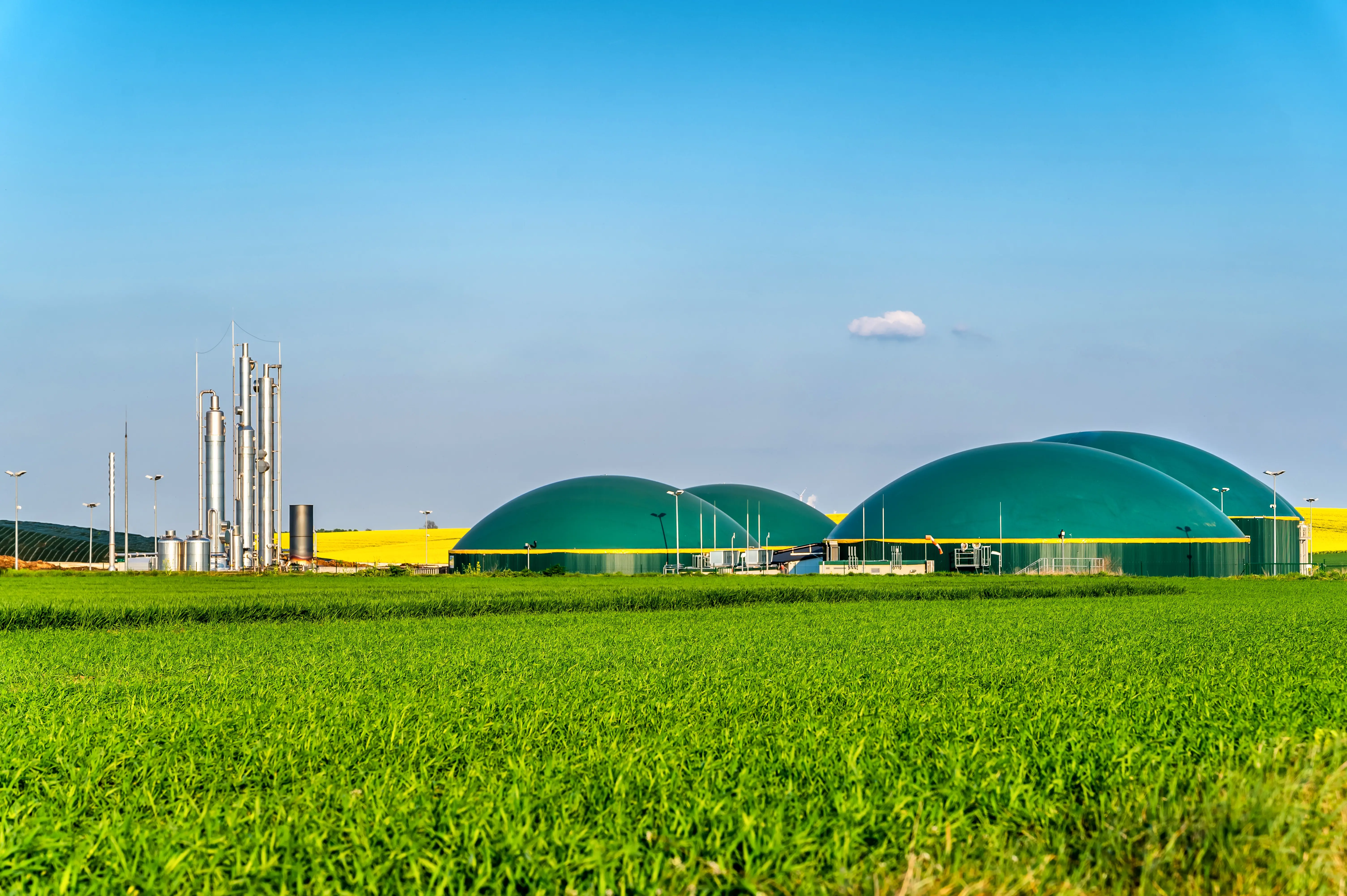 bp expands investment in bioenergy, collaborating with