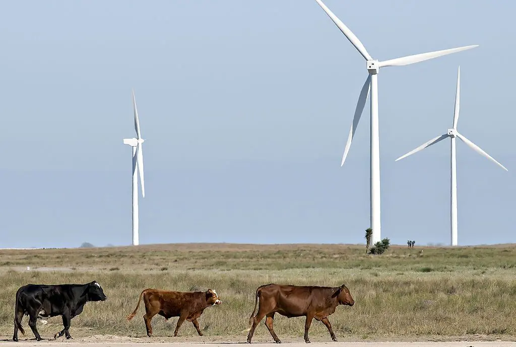 ArcLight to Invest $500 Million in Wind and Solar to Meet AI