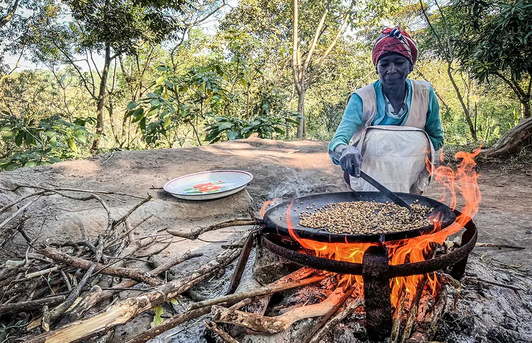 Sub-Saharan Africa’s clean cooking deficit: a call for